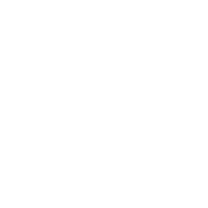 Services – FG Advisory