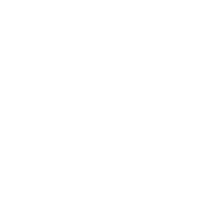 Services – FG Advisory