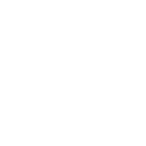 Services – FG Advisory