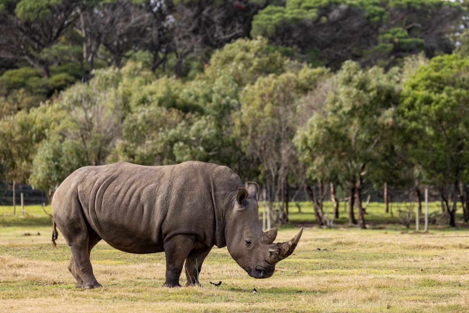 Projects – FG Advisory