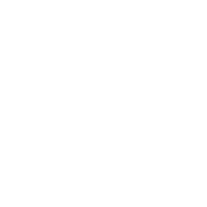 Services – FG Advisory